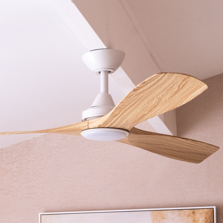 The Collab Society | Spitfire DC Fan | ThreeSixty Ceiling Fans ...